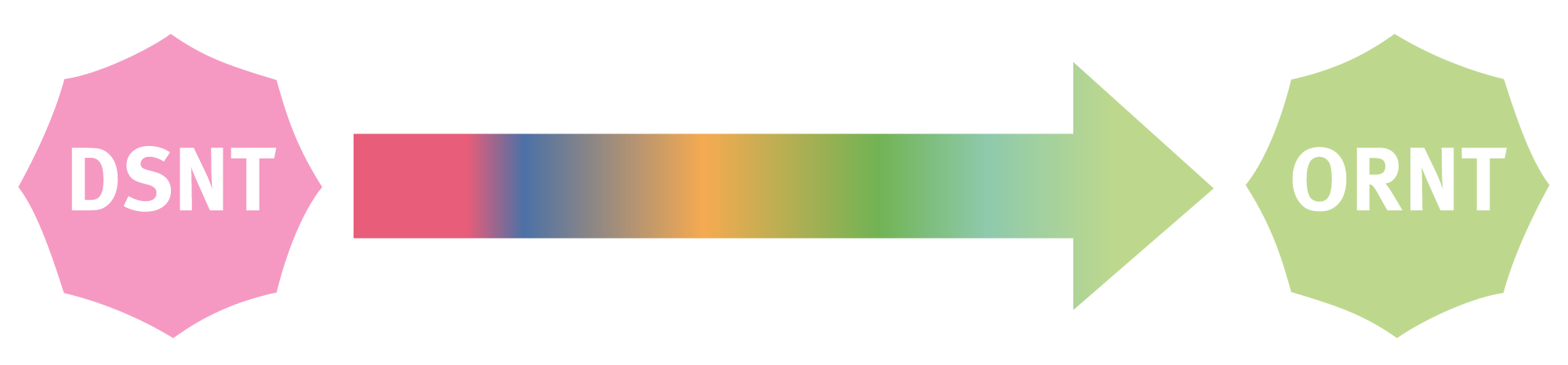 DSNT – Baumann Skin Types